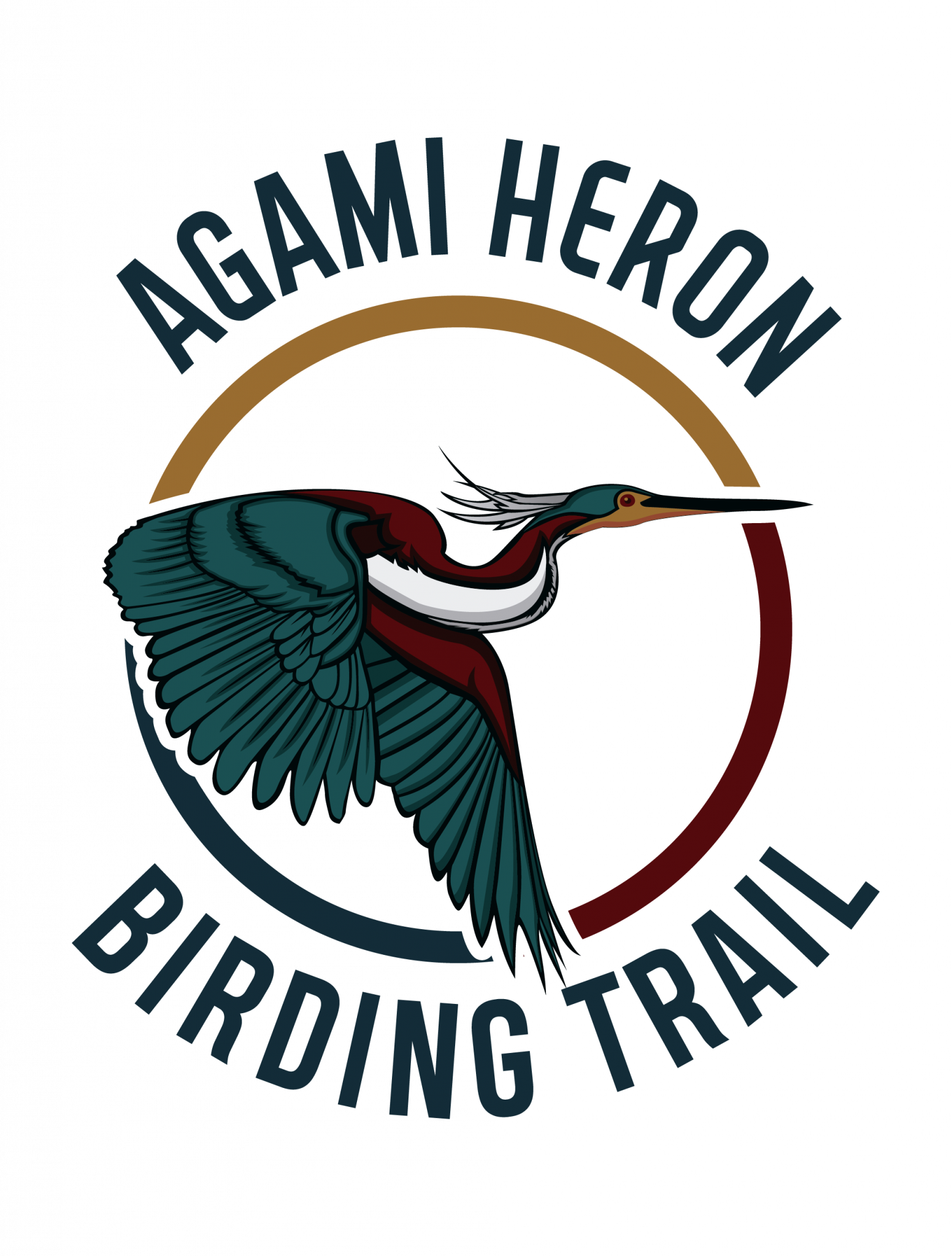 Ruta de la Garza Agamí implementa estrategias para comercializar ...